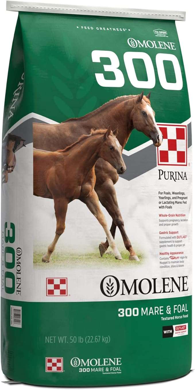 Best High Fat Horse Feed: Top Picks For Weight And Shine - Animalyour