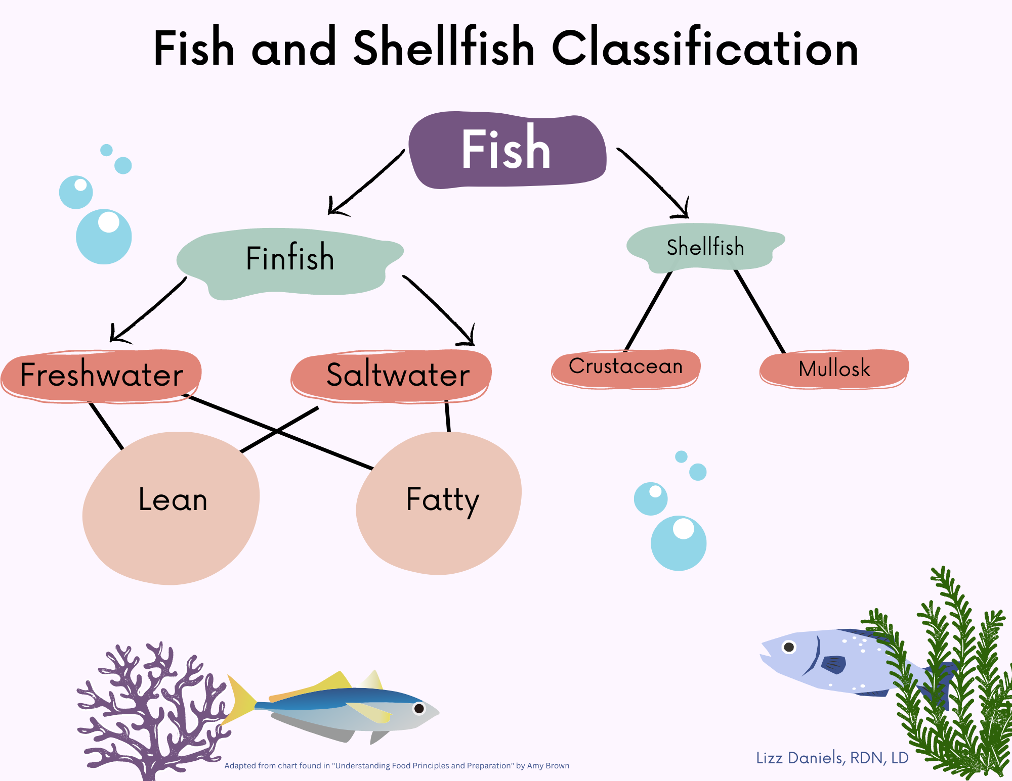 Are Fish an Animal? Best, Real Classification of Fish - Animalyour