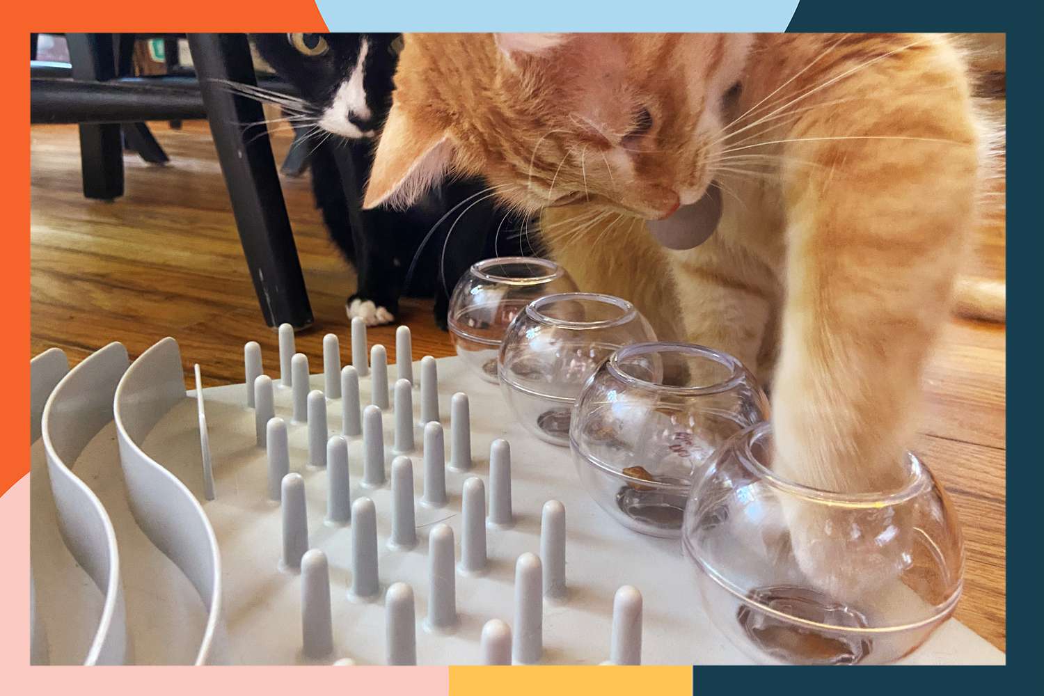 Most Popular Interactive Cat Toys That Cats Go Wild For - Animalyour