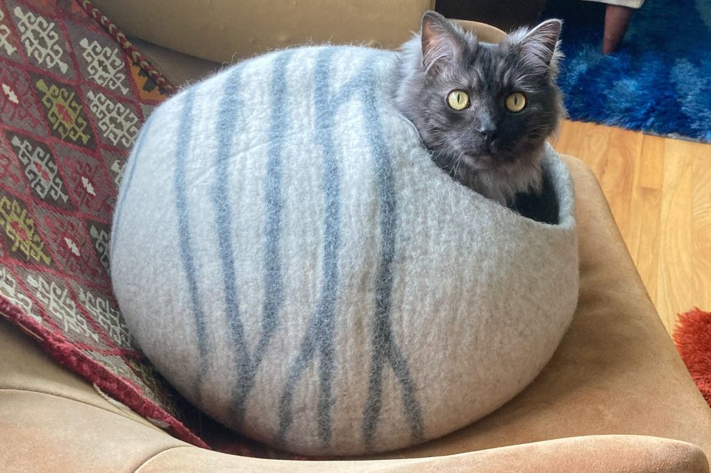 Best Cat Igloo Bed: My Honest Review - Animalyour